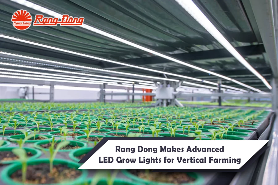 RANG DONG MAKES ADVANCED LED GROW LIGHTS FOR VERTICAL FARMING